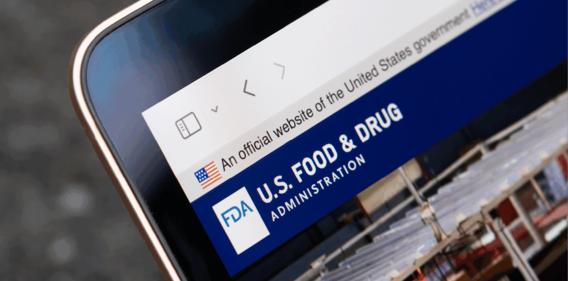 US FDA Special Designations and Approval Pathways